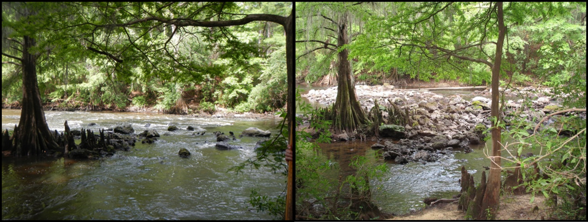 New Flow Targets for the Flint - GA-FIT